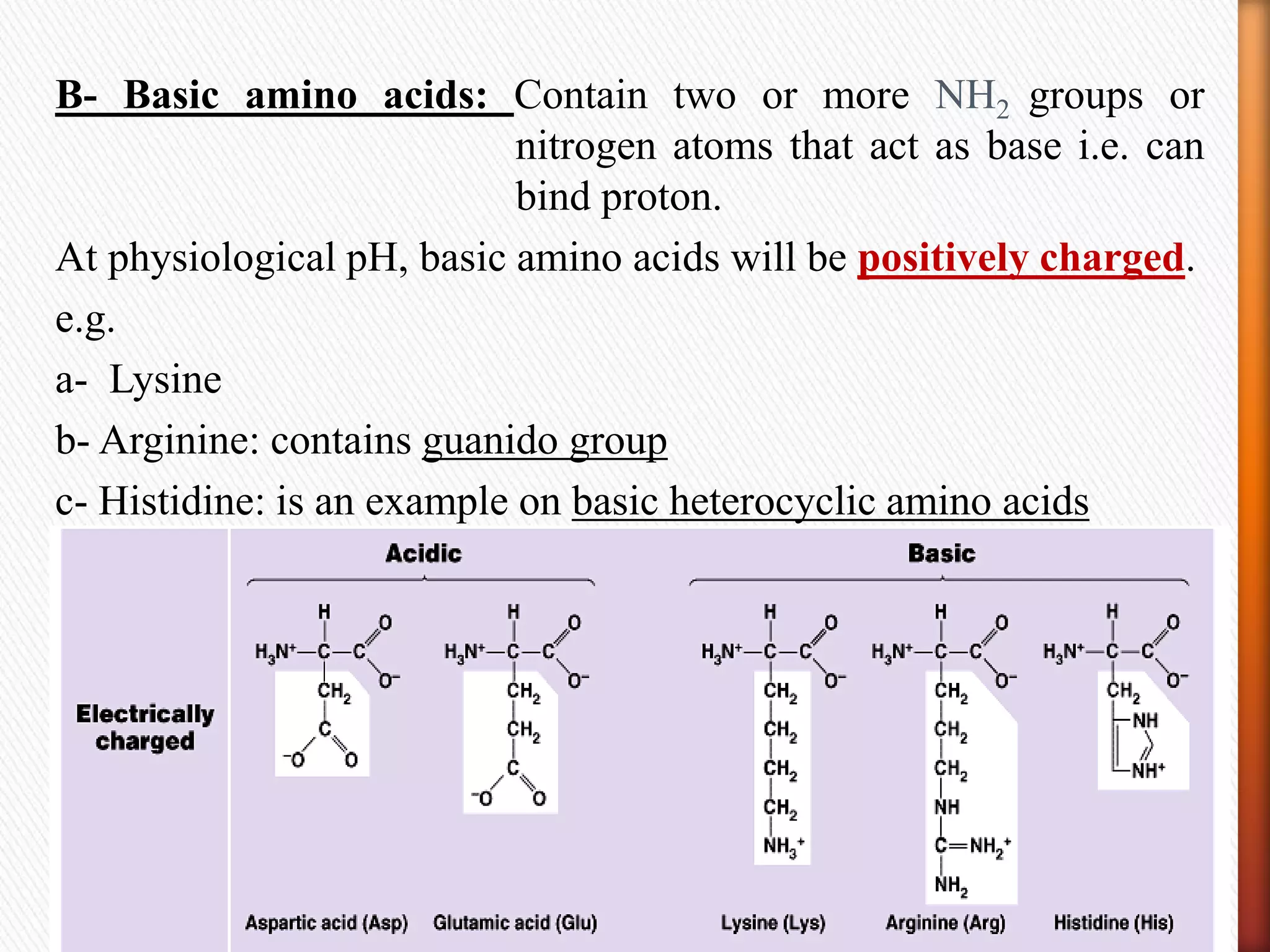 Amino acids and protein.ppt