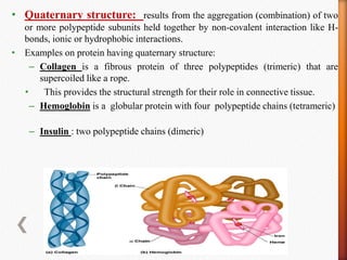 Amino acids and protein.ppt