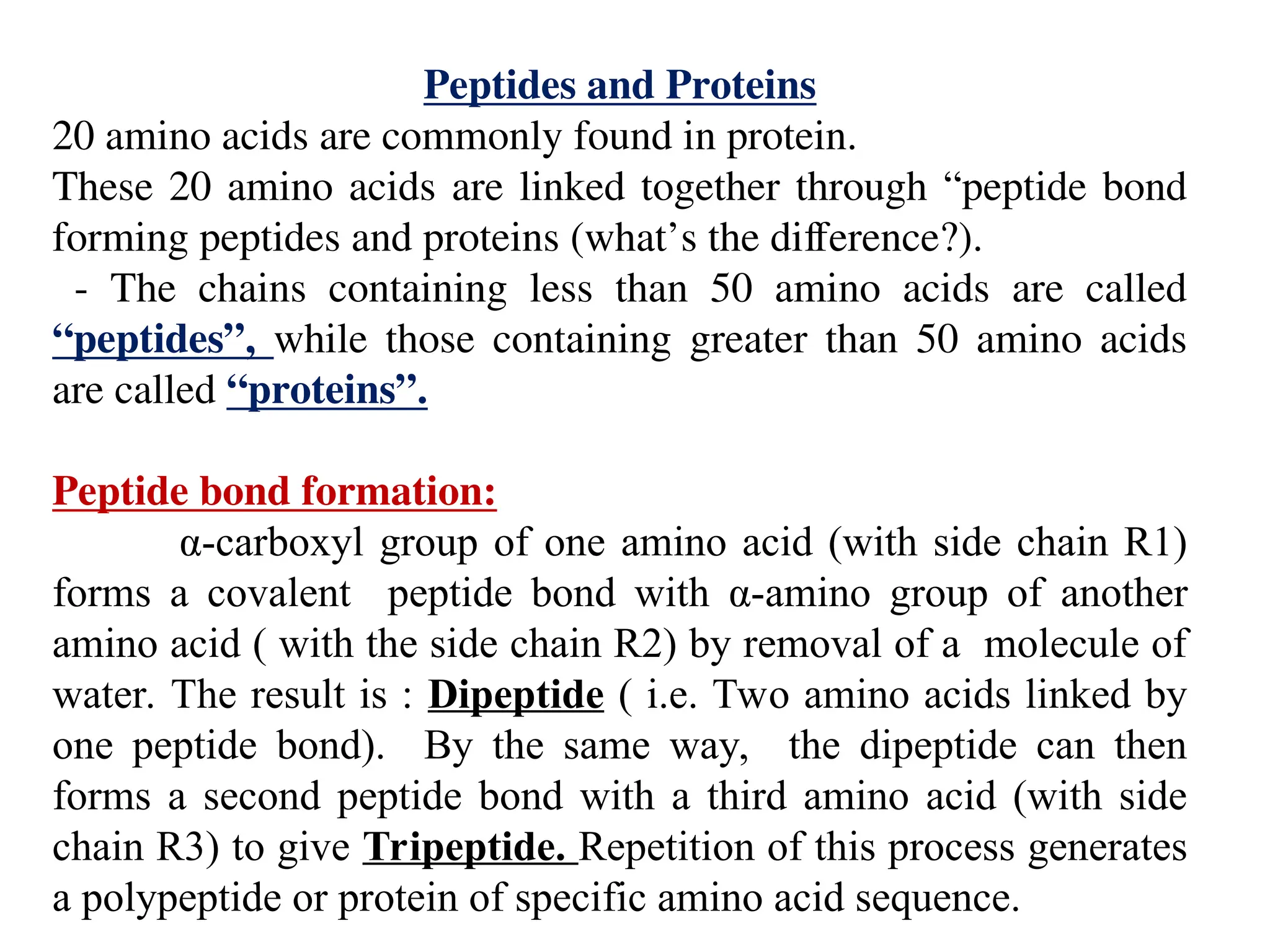 Amino acids and protein.ppt structure and function | PPT
