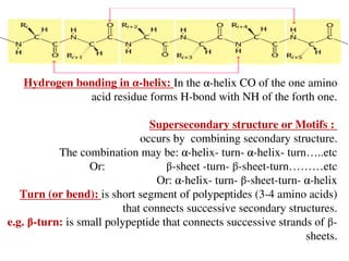 Amino acids and protein.ppt structure and function | PPT