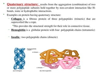 Amino acids and protein.ppt structure and function | PPT