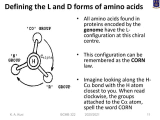 Amino acids and proteins and their importance - 1.pdf