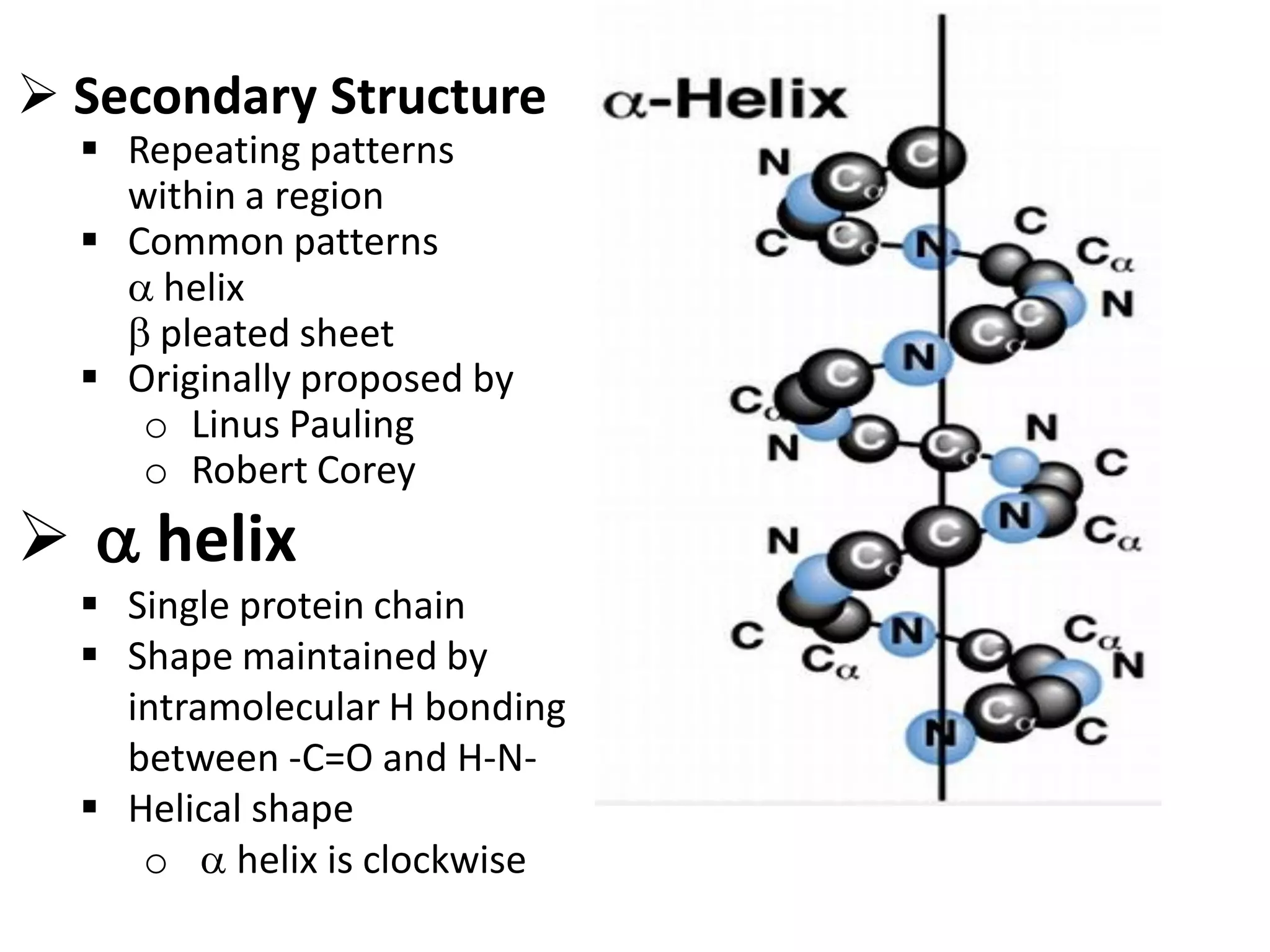 Amino acids and proteins | PDF