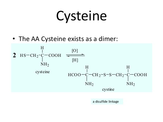 Amino acids and proteins
