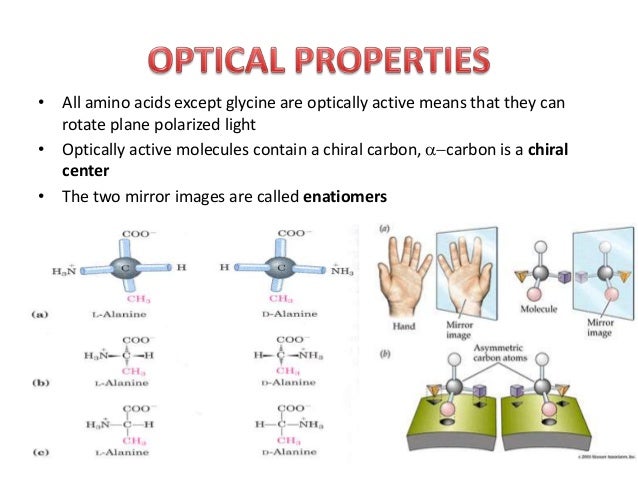 Amino acids and proteins