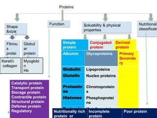 AMINO ACIDS AND PROTEINS(Dr.GIREESH KM) | PPT