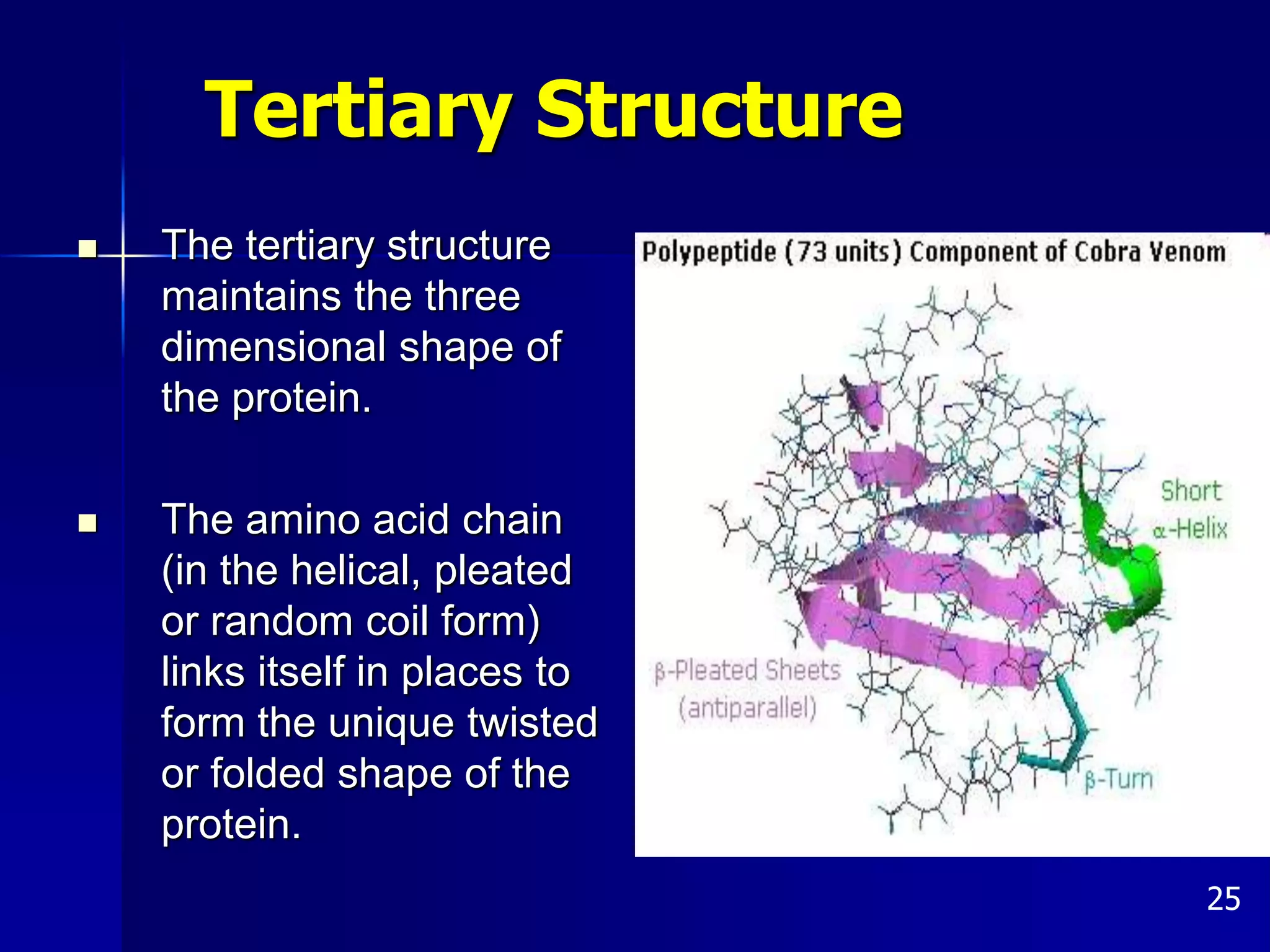 Amino_Acids_and_Proteins.ppt