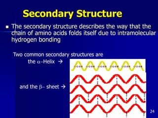 Amino_Acids_and_Proteins.ppt