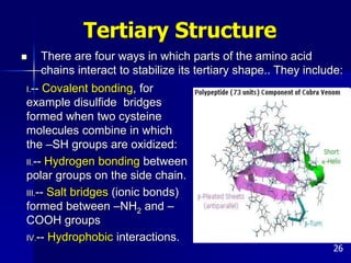 Amino_Acids_and_Proteins.ppt