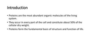 Amino acids and proteins.pptx