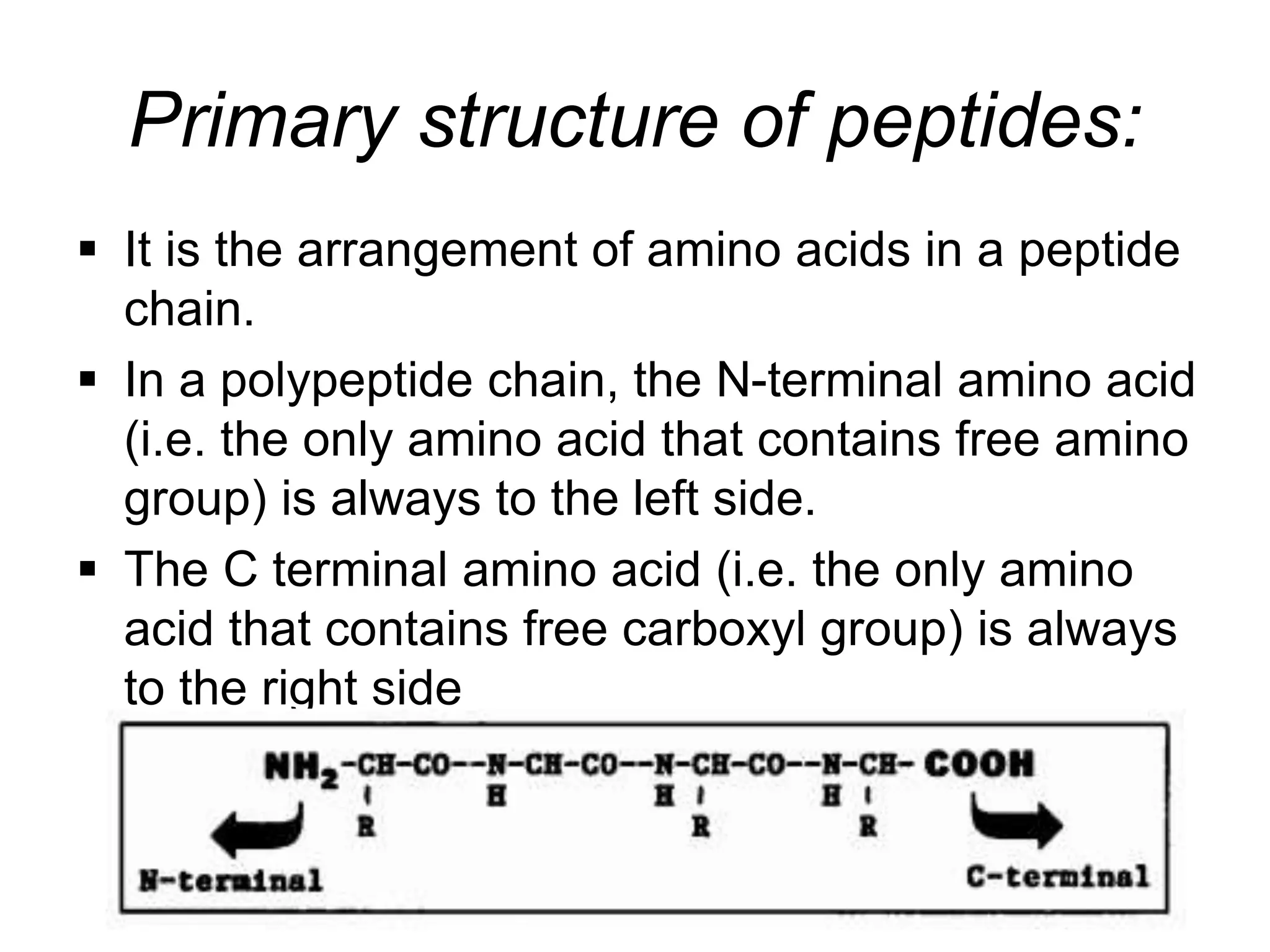 amino acids and proteins.ppt
