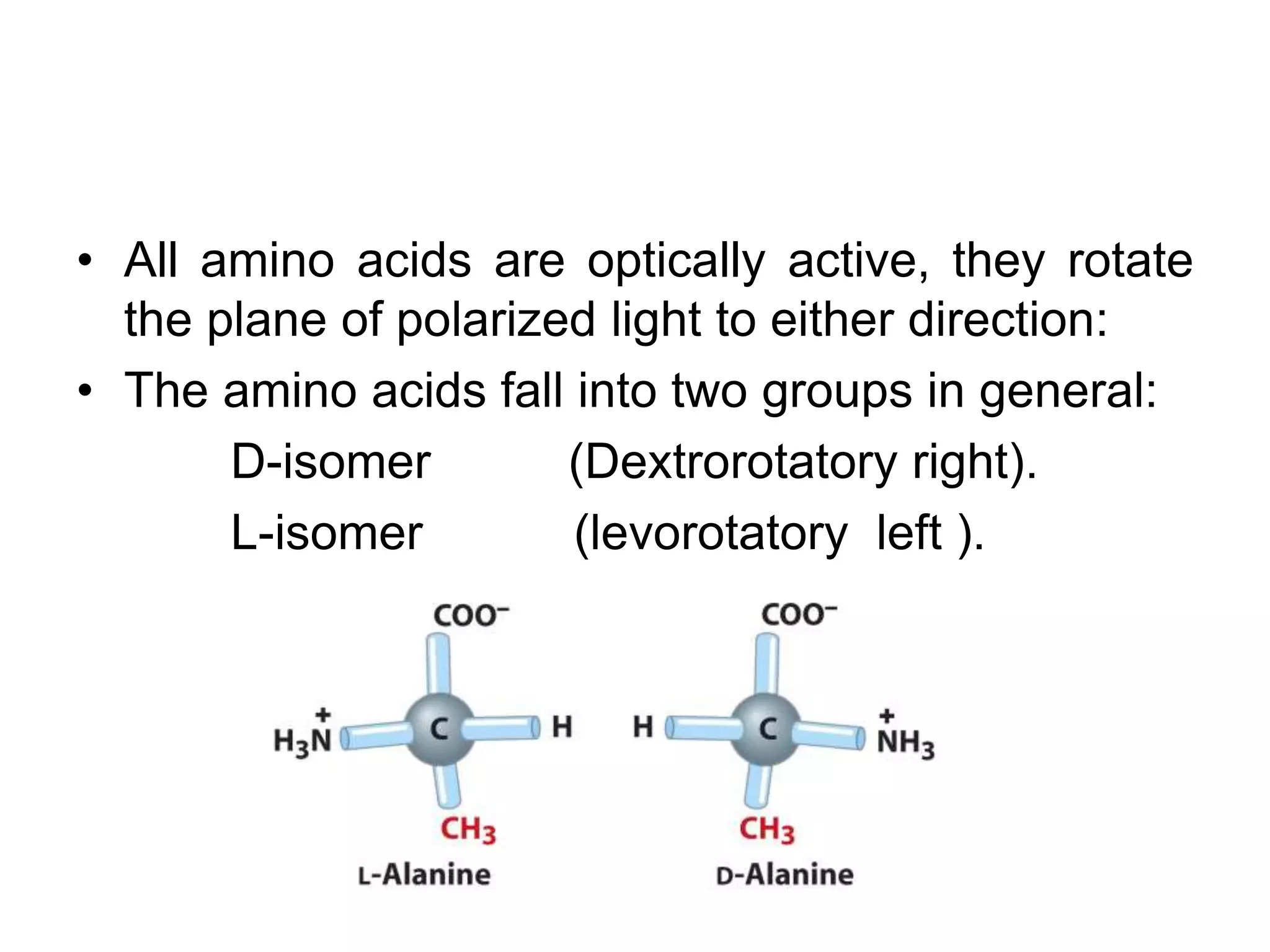 amino acids and proteins.ppt