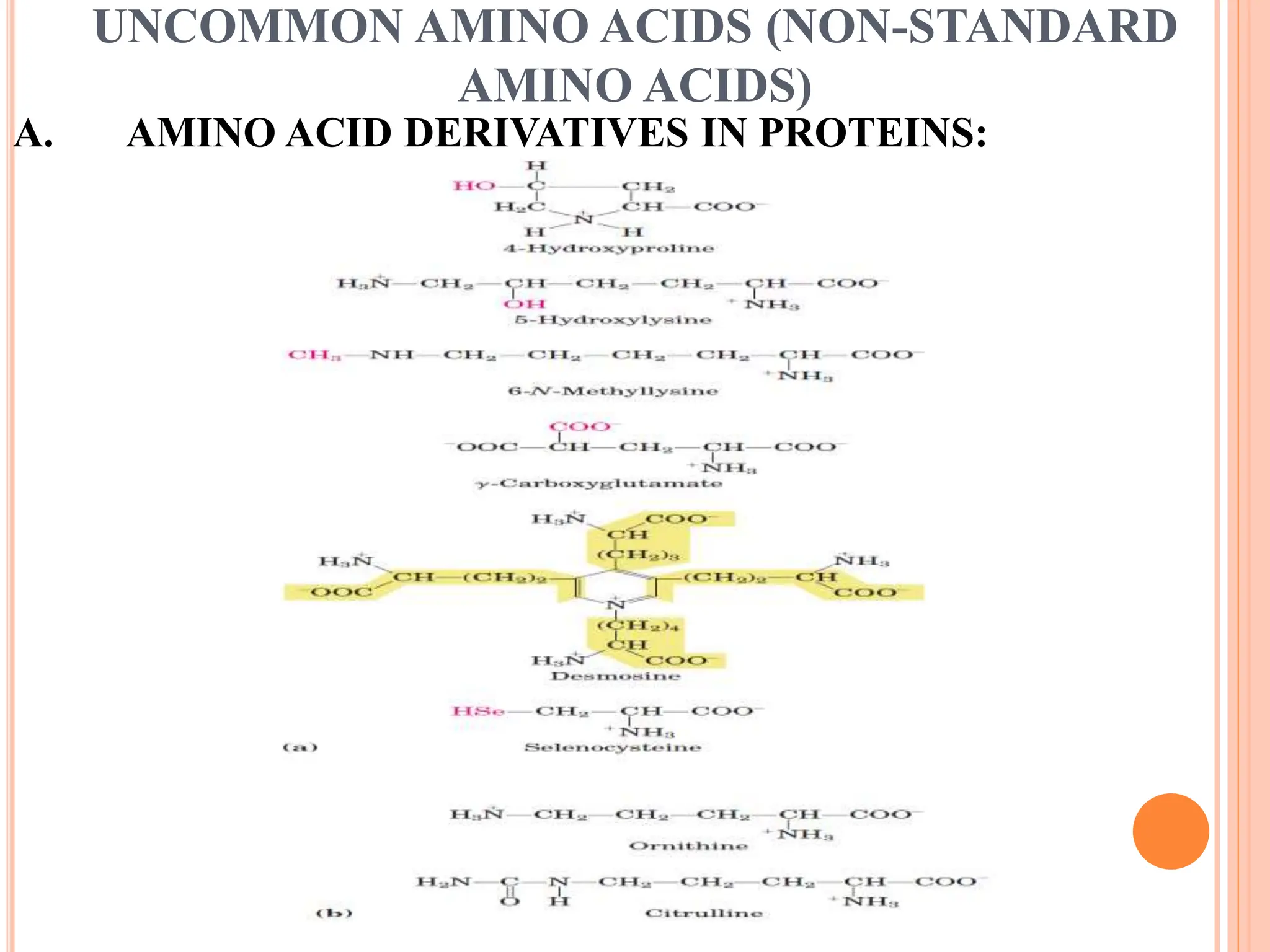 Amino Acids and Proteins.ppt | Nutrition | Healthy Living