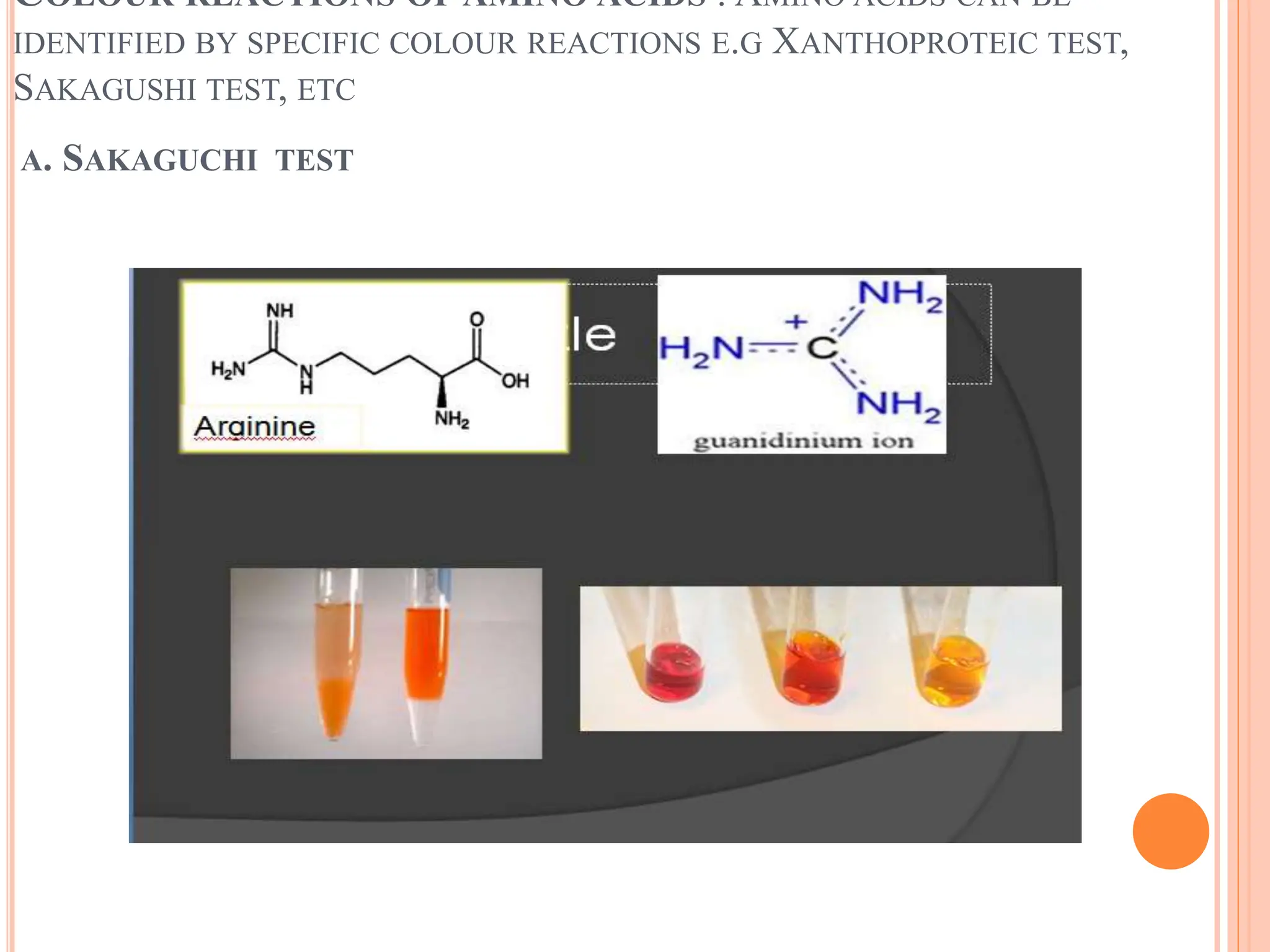 Amino Acids and Proteins.ppt | Nutrition | Healthy Living