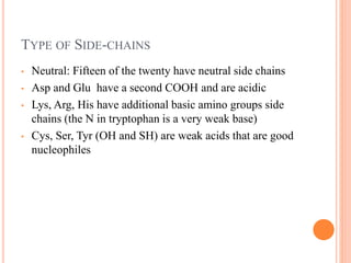 Amino Acids and Proteins.ppt | Nutrition | Healthy Living