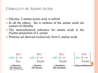 Amino Acids and Proteins.ppt | Nutrition | Healthy Living