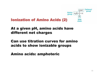 Amino acids and proteins in clinical chemistry | PPT