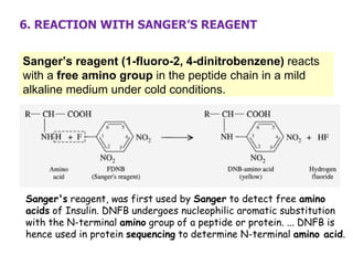 Amino acids classification and Proteins ,structure .pdf