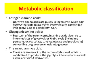 Amino acids and proteins (1) | PPTX