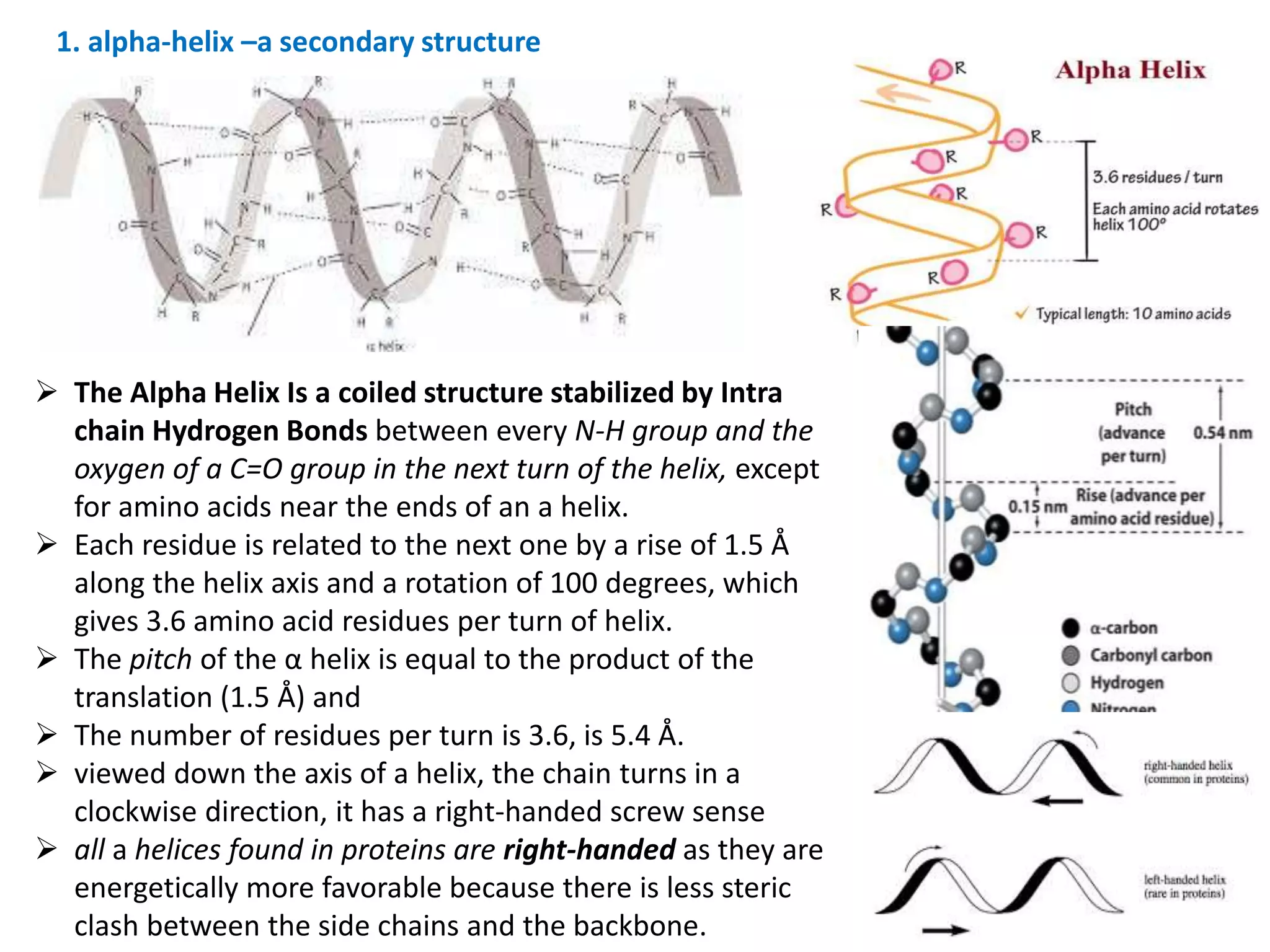 Amino acids and structure of protein.pptx