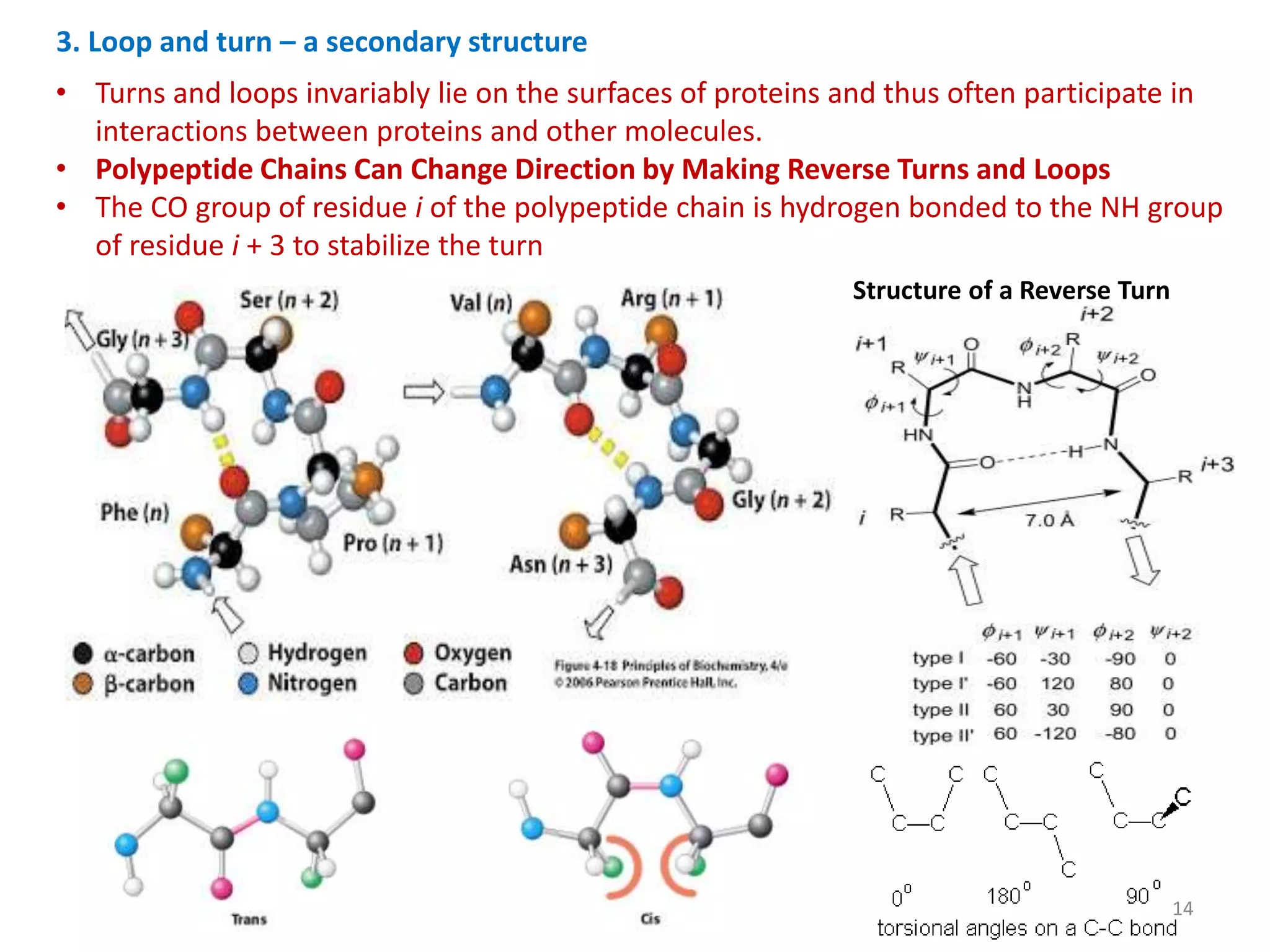 Amino acids and structure of protein.pptx