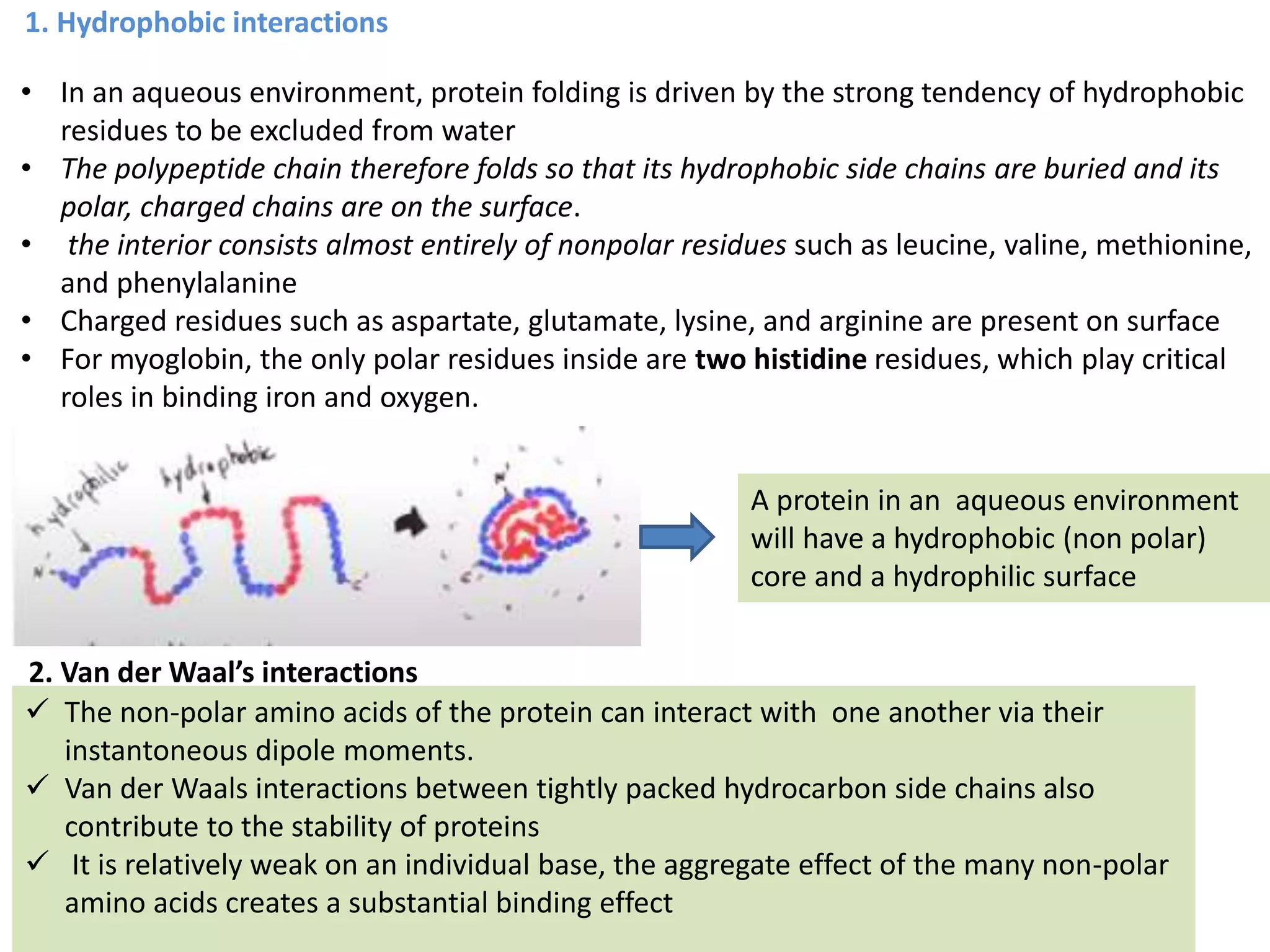 Amino acids and structure of protein.pptx