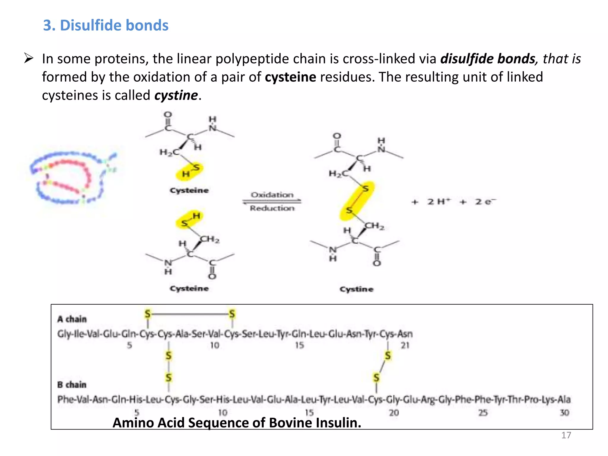 Amino acids and structure of protein.pptx