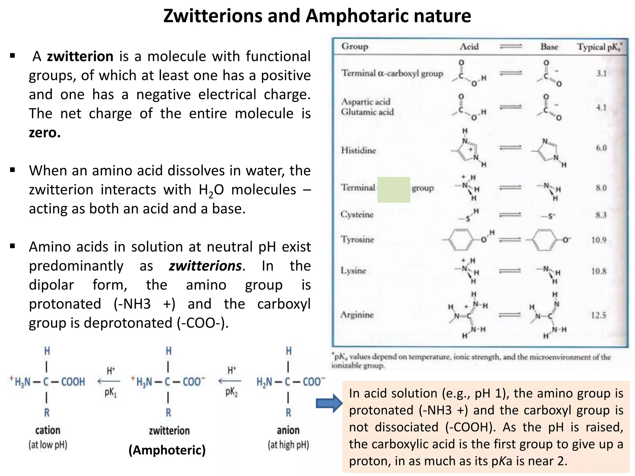 Amino acids and structure of protein.pptx
