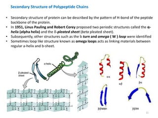Amino acids and structure of protein.pptx