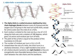 Amino acids and structure of protein.pptx