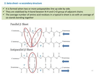 Amino acids and structure of protein.pptx