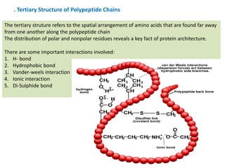 Amino acids and structure of protein.pptx