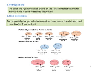 Amino acids and structure of protein.pptx