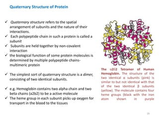 Amino acids and structure of protein.pptx