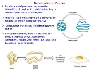 Amino acids and structure of protein.pptx
