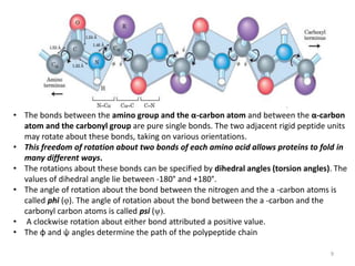 Amino acids and structure of protein.pptx
