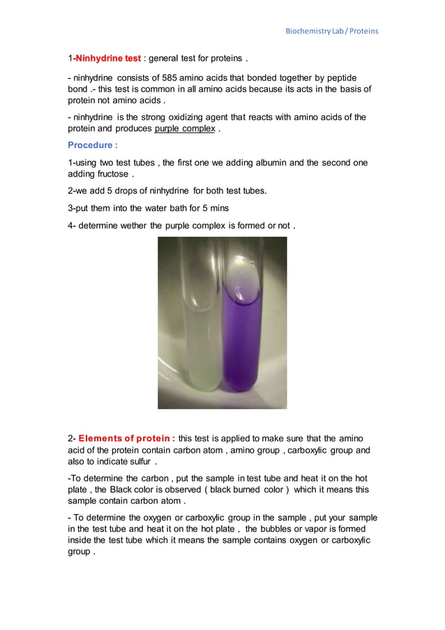 Tests for proteins - Biochemistry lab | DOCX