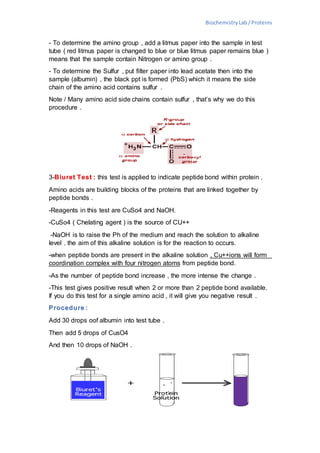 Tests for proteins - Biochemistry lab | DOCX