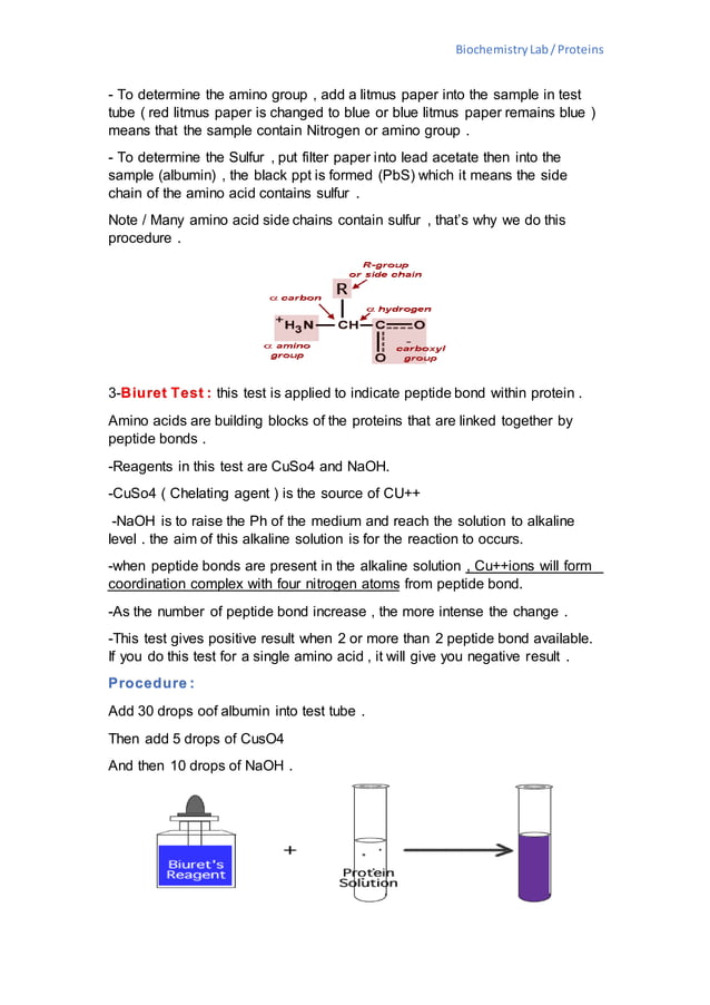 Tests for proteins - Biochemistry lab | DOCX