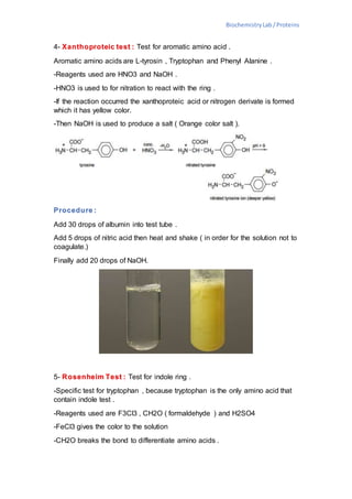 Tests for proteins - Biochemistry lab | DOCX