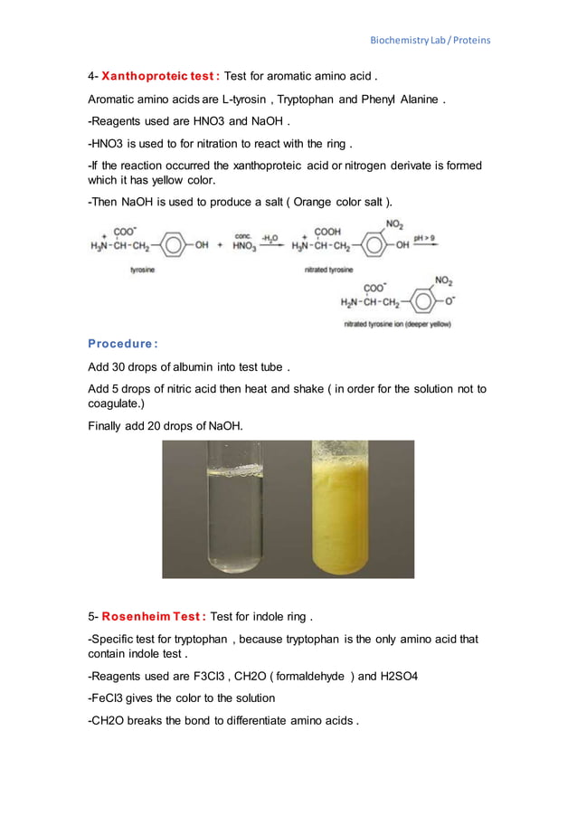 Tests for proteins - Biochemistry lab | DOCX