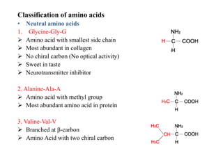 Amino Acids (building blocks of protein).pptx