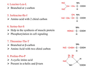 Amino Acids (building blocks of protein).pptx