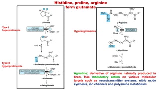 Amino acids degradation II | PPT