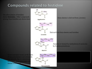 Amino acids derivetives | PPT