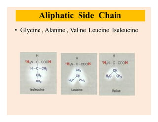Amino acid sdk (biochem) | PPT