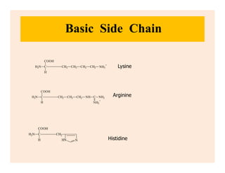 Amino acid sdk (biochem) | PPT
