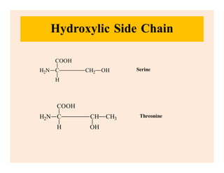 Amino acid sdk (biochem) | PDF
