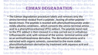 Amino acid sequencing | PPT