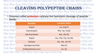 Amino acid sequencing | PPT